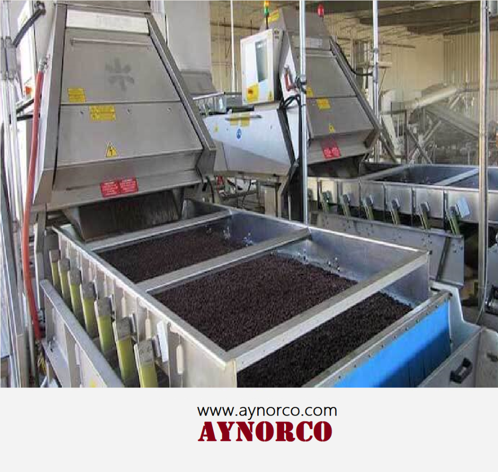 Bulk purchase of premium raisins in Kuwait
