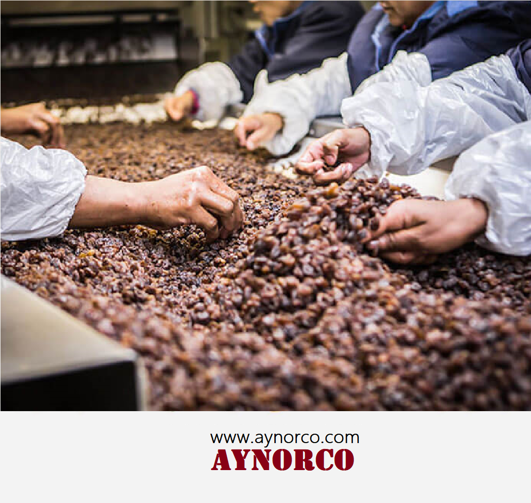 Bulk purchase of premium raisins in Kuwait